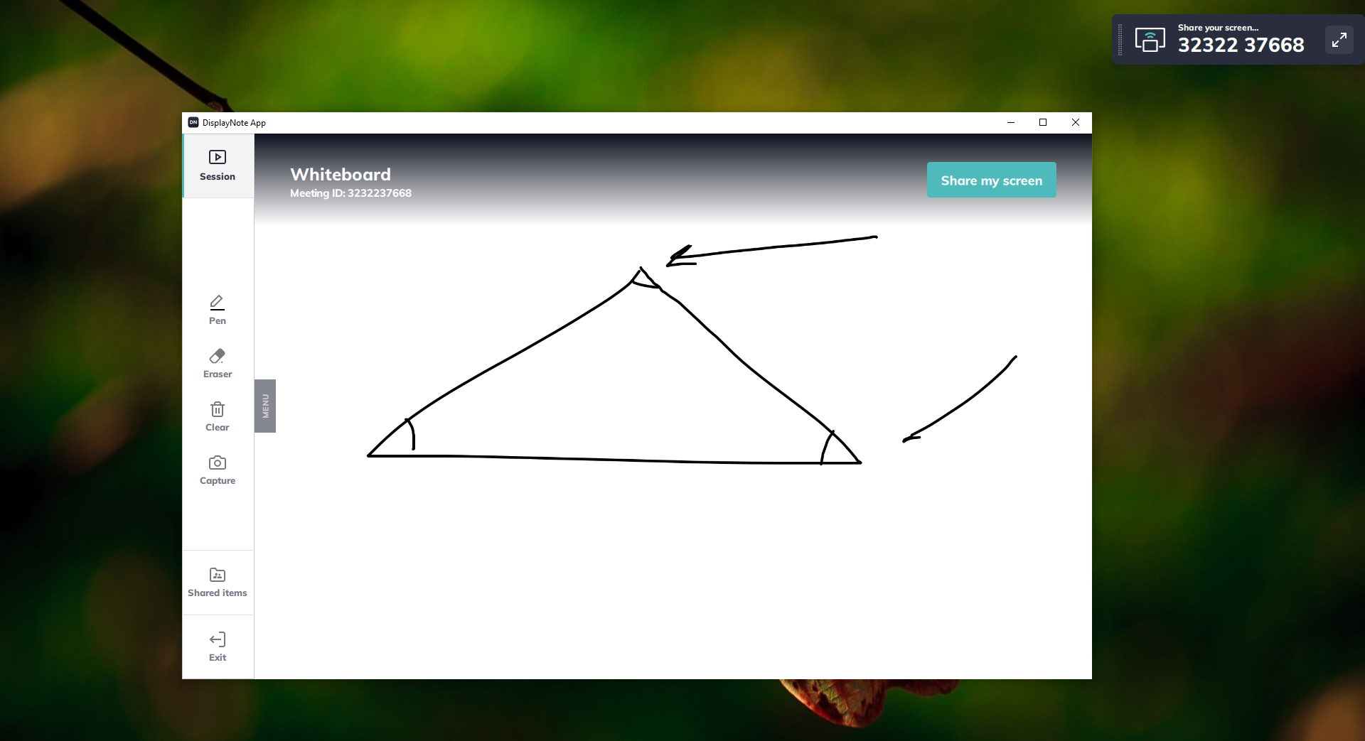 Using the Montage Whiteboard – DisplayNote Technologies Ltd